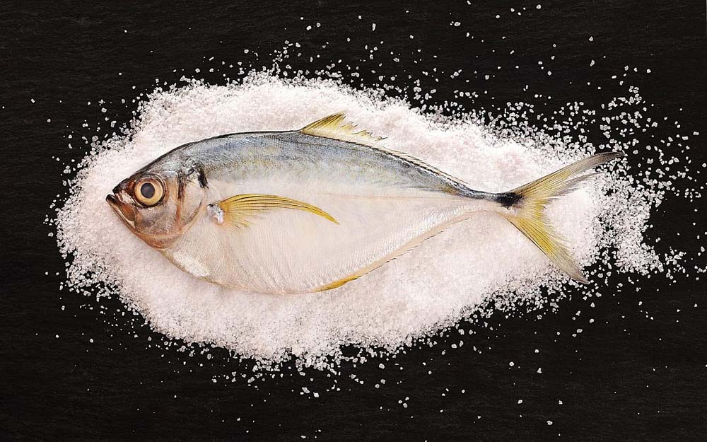 Harmony “hamun” is fish plus salt in Sumerian - Origin of Alphabet