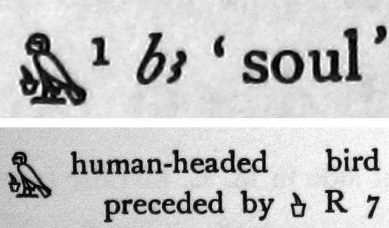 Letter A: From Hawk to Ox - Origin of Alphabet