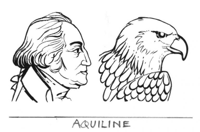 Letter A: From Hawk to Ox - Origin of Alphabet