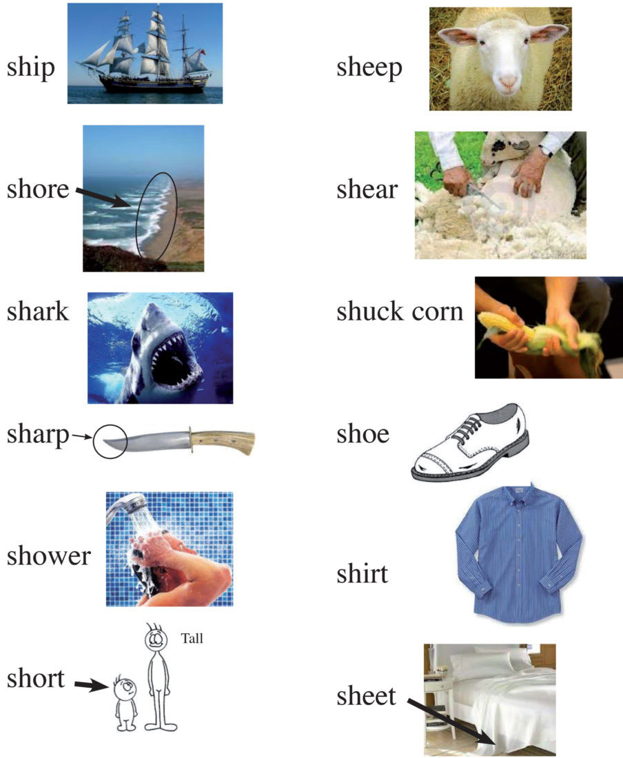 Words Beginning With "SH" - Origin of Alphabet