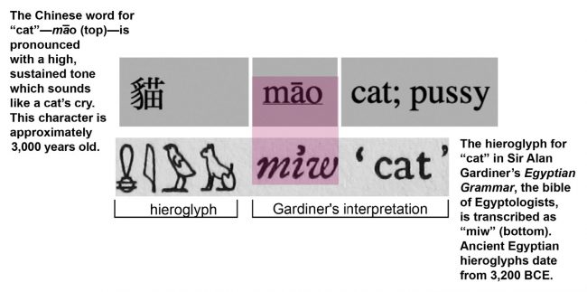 "Meow" is just another name for "cat" - Origin of Alphabet